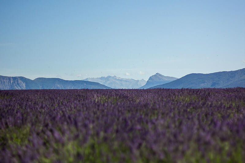 Campsite quality charter: quality campsites in France | Les Castels